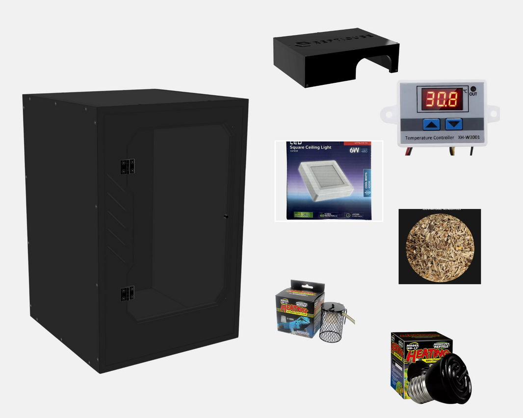 Complete Reptile Bundles & Starter Kits – Enclosure package deals ...