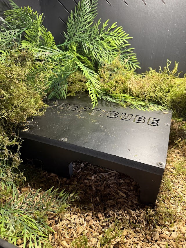 Reptile Hides for Enclosures – Natural, Safe, & Secure Shelter Options ...